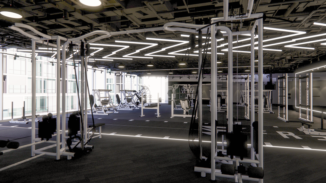 Exclusive Equipment at Freedom Gym – Freedom Gym